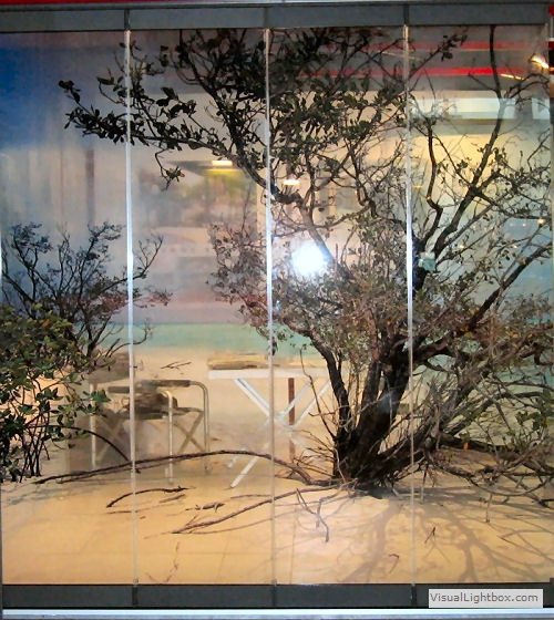 Tour Fotografico Gm Morando 3/4